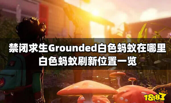 禁闭求生Grounded白色蚂蚁在哪里 白色蚂蚁刷新位置一览_18183禁闭求生专区