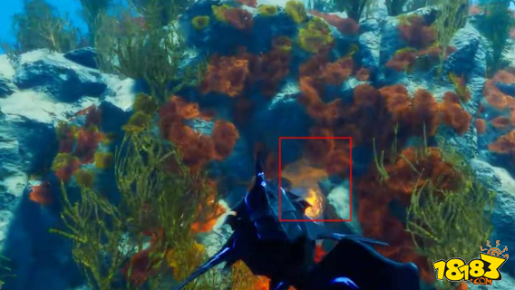 食人鲨几级进化完全体 进化成完全体等级解析_18183(none)专区