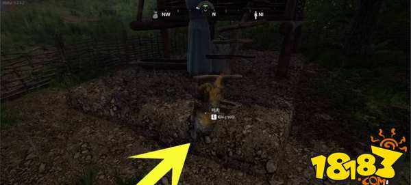 中世纪王朝鸡在哪里买 买鸡方法详解_18183中世纪王朝专区