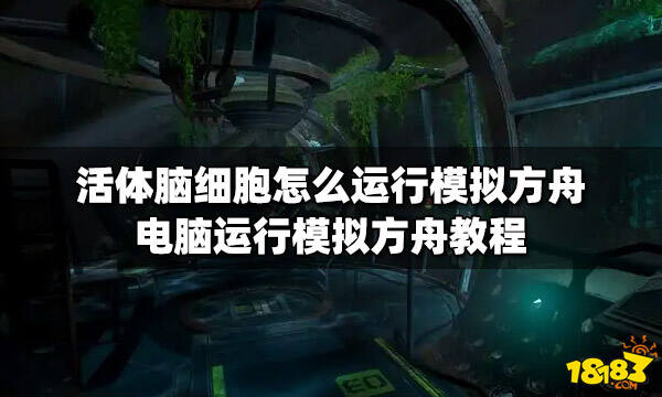 活体脑细胞怎么运行模拟方舟 电脑运行模拟方舟教程_18183(none)专区